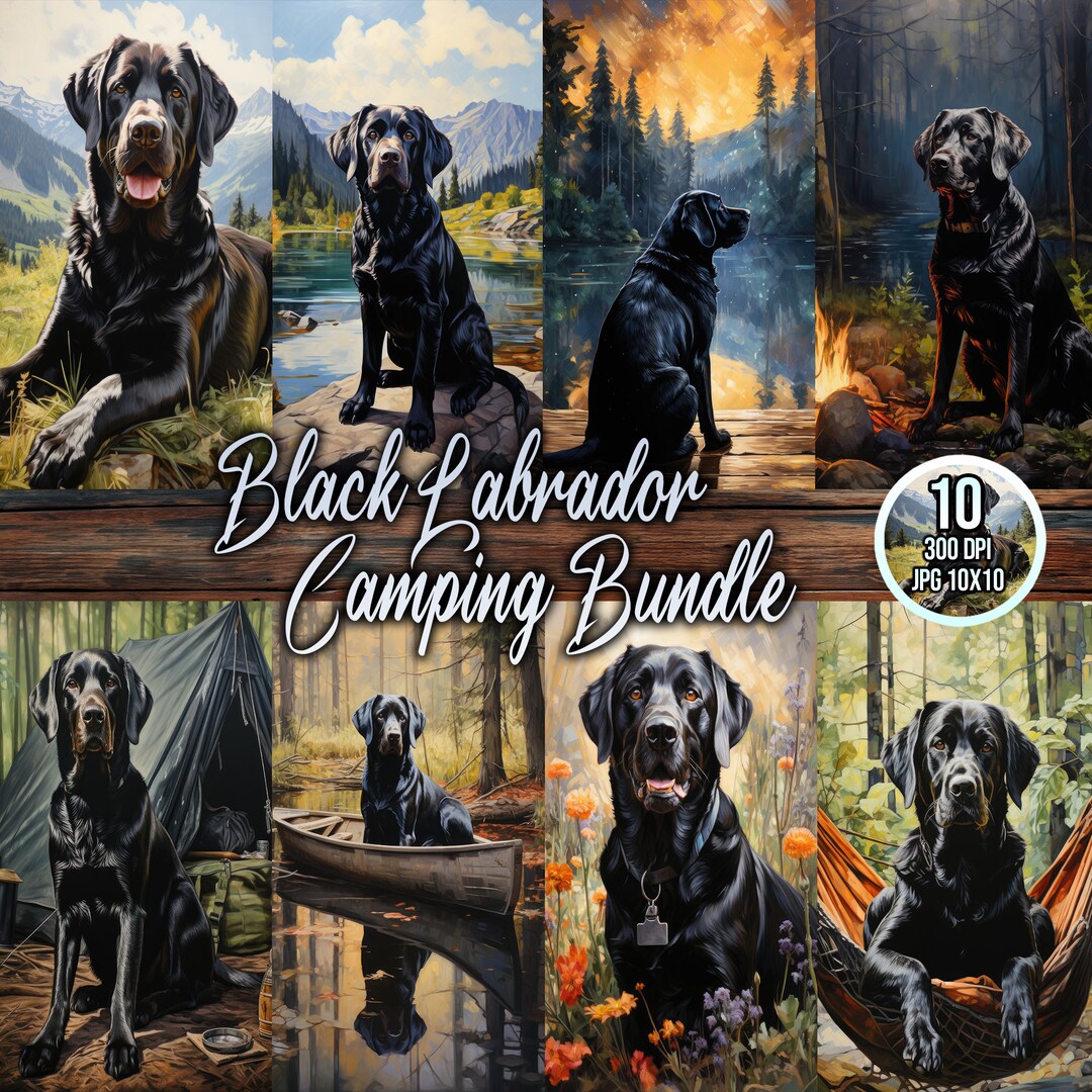 10 JPG Black Labrador Camping Bundle Oil Painting Digital Art Puppies ...