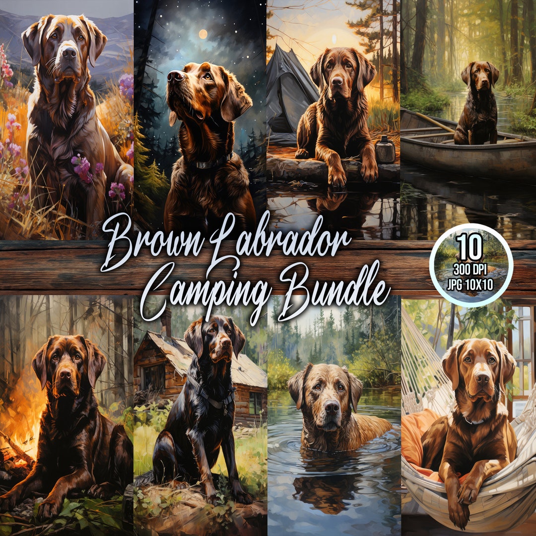 10 JPG Brown Labrador Camping Bundle Oil Painting Digital Art Puppies ...