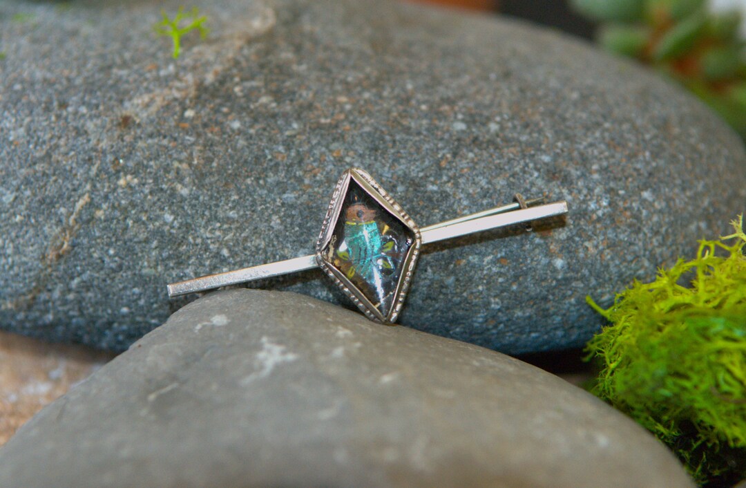 Rare Silver Butterfly Wing Brooch/tie Pin Thomas Mott/shipton - Etsy