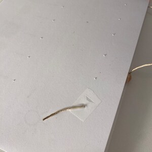 Printable Morning Routine Chart for Toddlers and Young Kids, Including ...