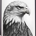 Artwork for Office American Symbol Art Bird Photo Canvas Bald Eagle ...
