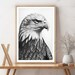 Artwork for Office American Symbol Art Bird Photo Canvas Bald Eagle ...
