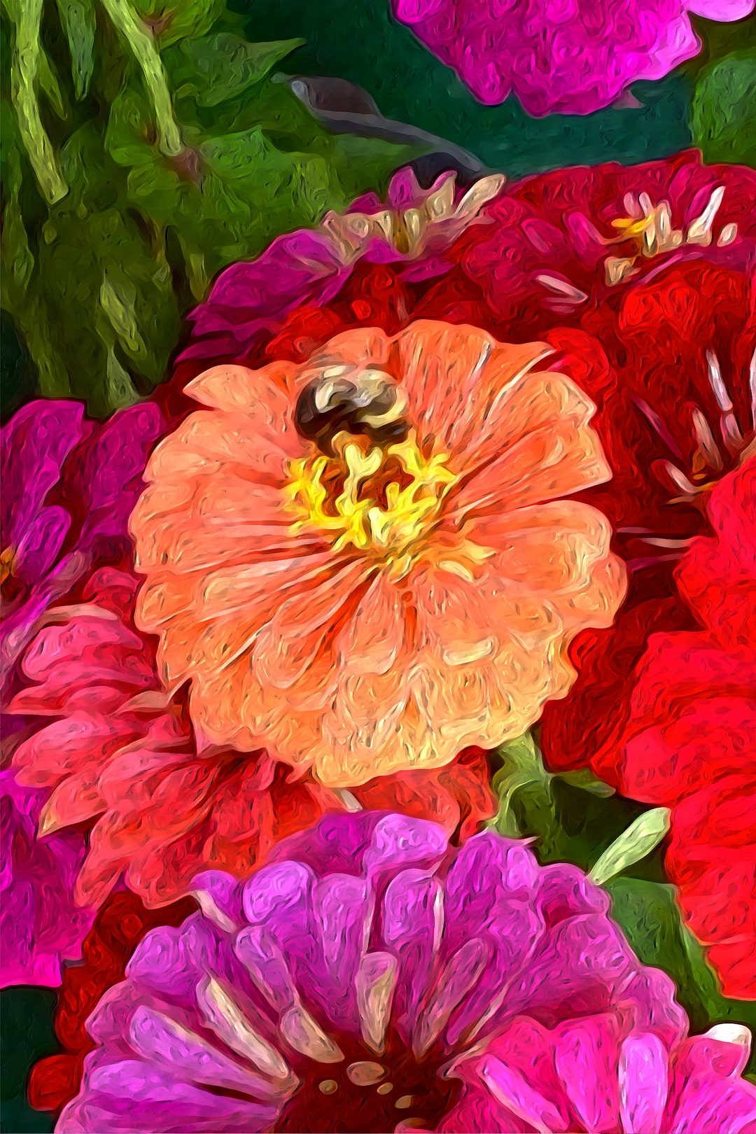 Zinnia - Impressionist Style Digital Painting of a Zinnia Flower ...