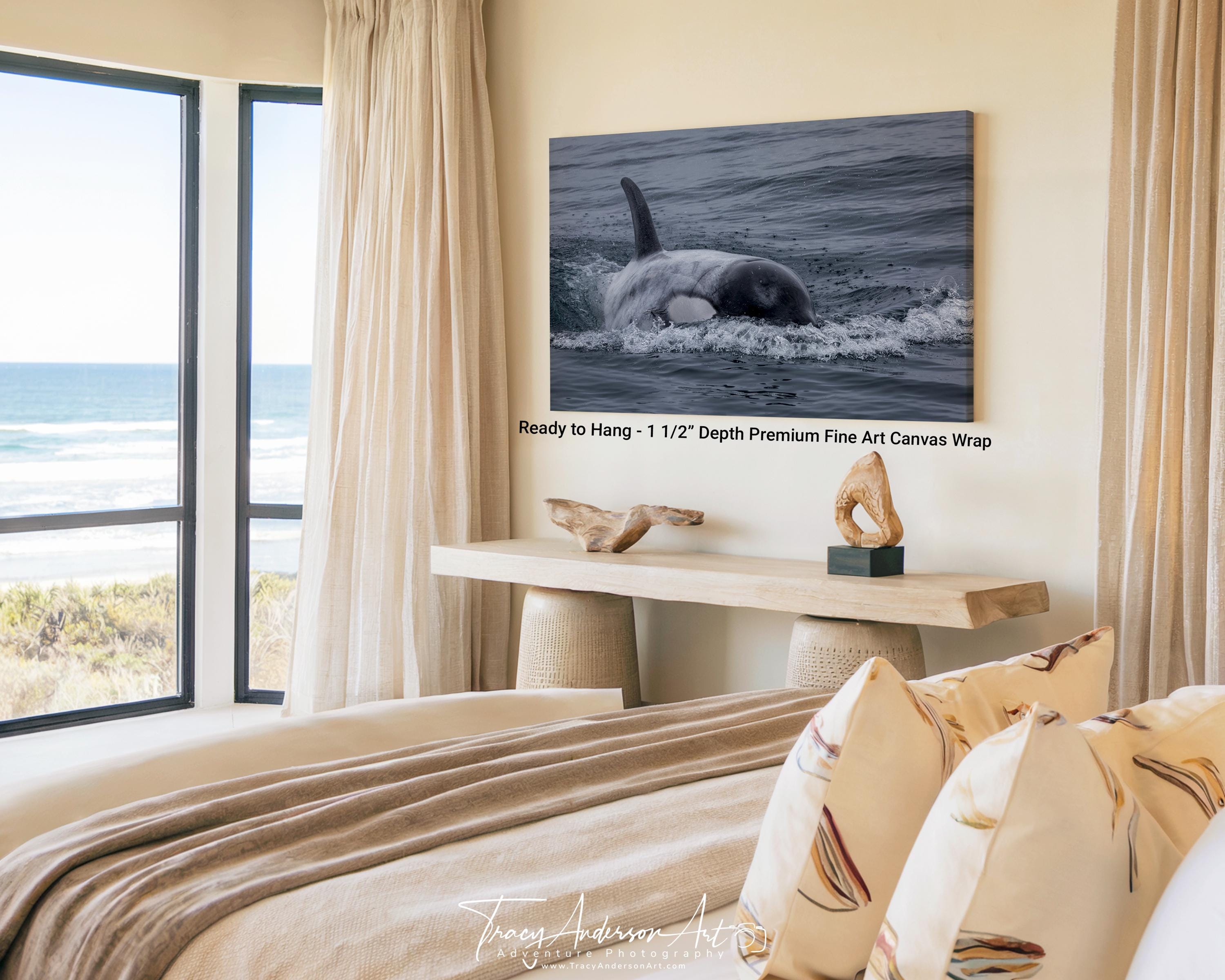 Orca Photography Print, Ocean Wall Art Decor, Beach House Bathroom ...