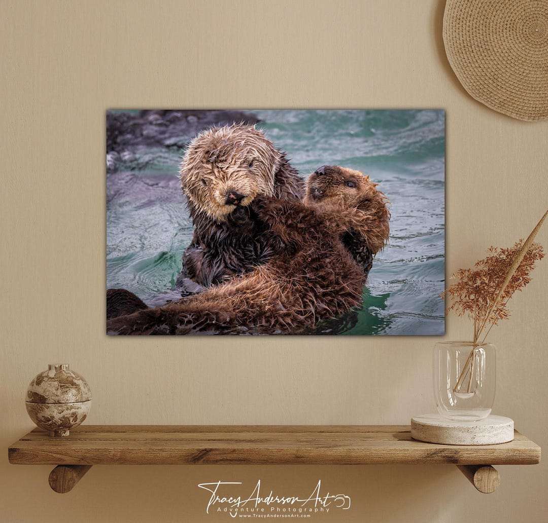 Baby Sea Otter Wall Art, Playful Wildlife Photography, Morro Bay Animal ...