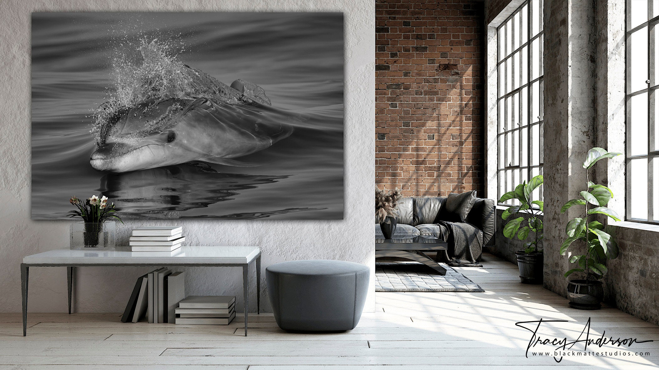 Dolphin Wall Art Photo, Dolphin Canvas Photo, Dolphin Black and White ...