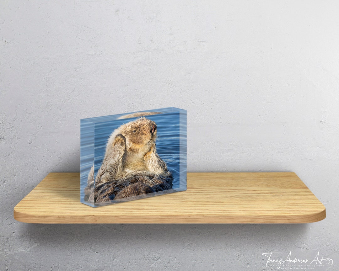 Sea Otter 4x6 Acrylic Block Gift, Sea Otter Office Décor, Sea Otter ...