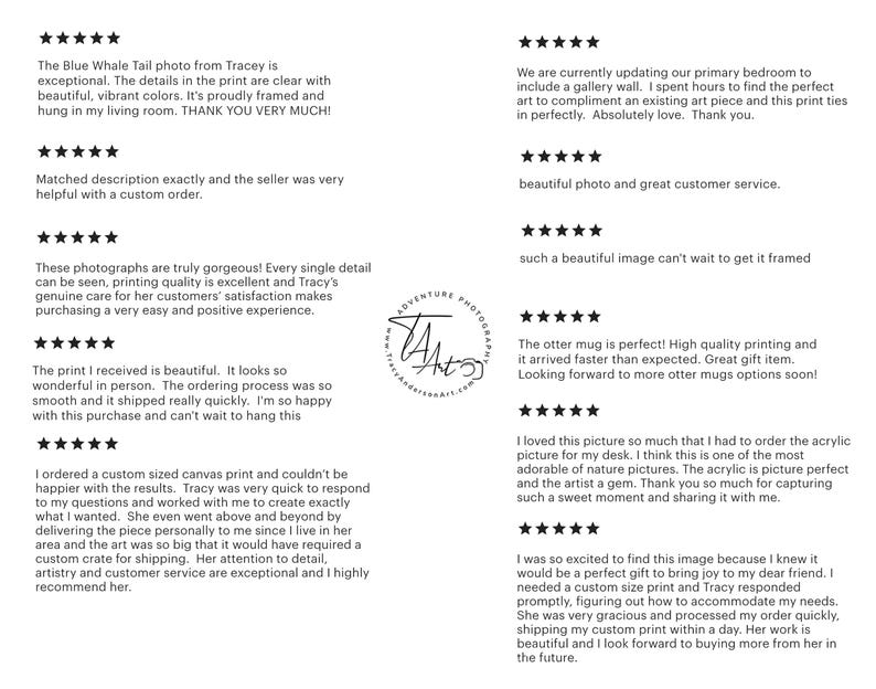 Big Sur Photography, Keyhole Arch Sunset Photo, Beach Print Coastal ...