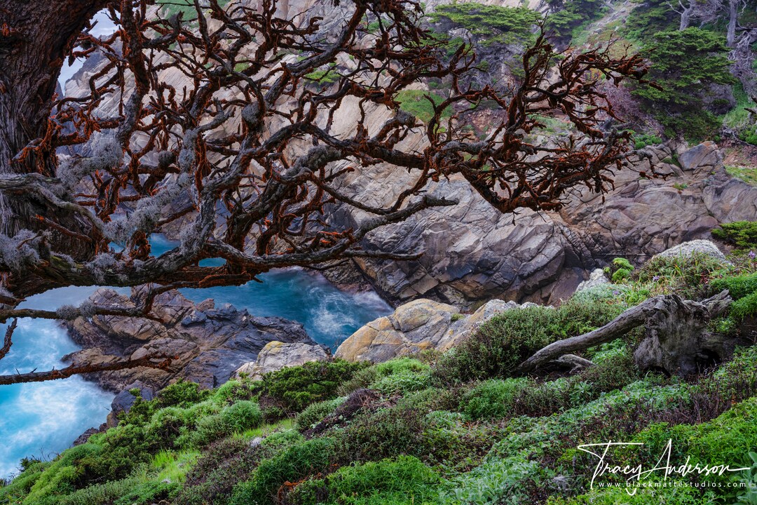 Point Lobos Wall Art, California Coastal Print, Scenic Ocean ...