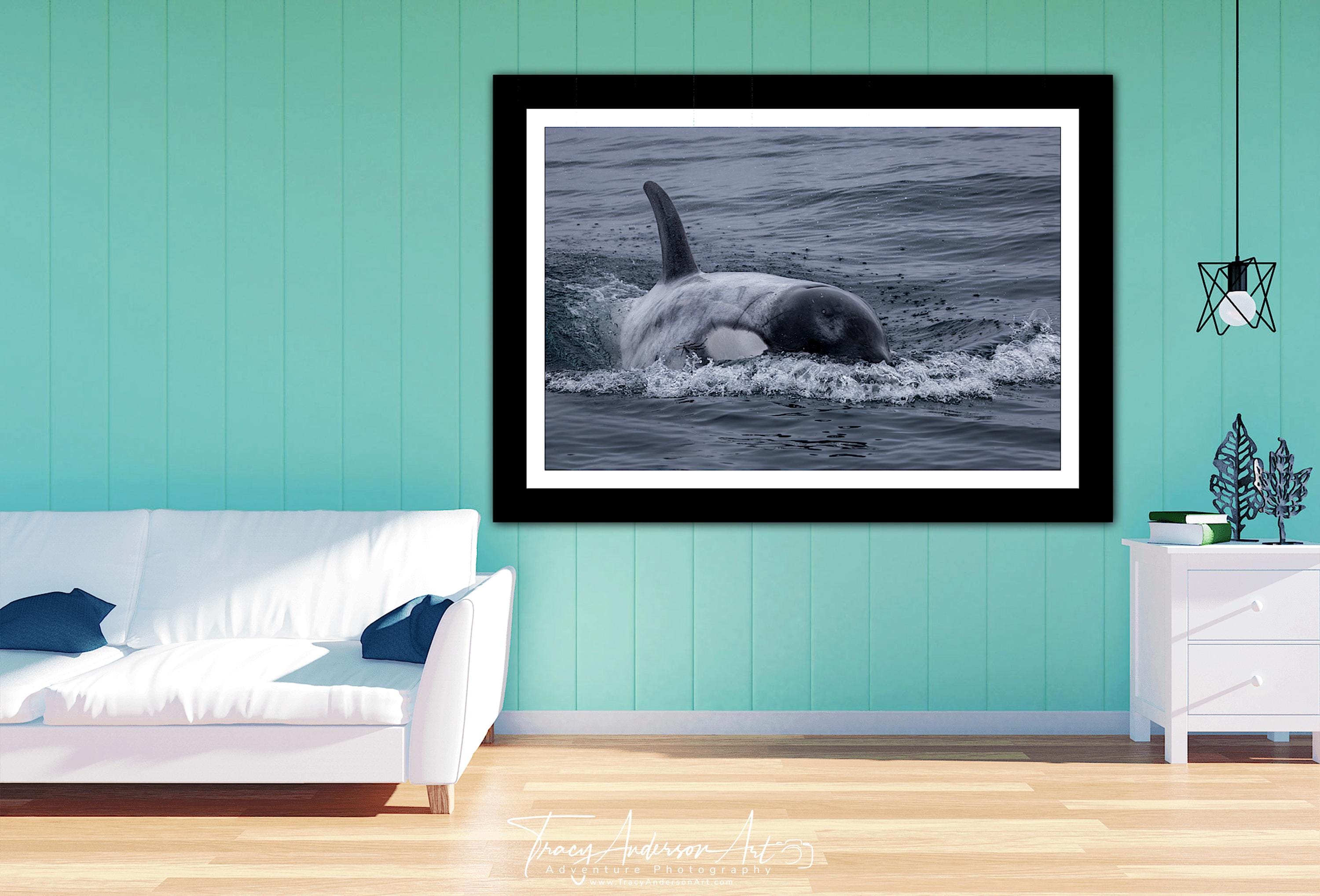 Orca Photography Print, Ocean Wall Art Decor, Beach House Bathroom ...