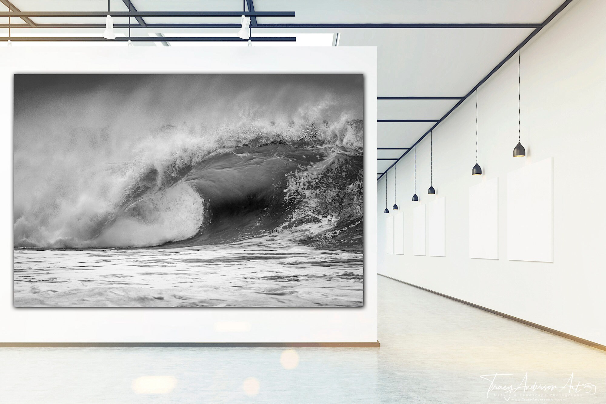 The Wedge Black and White Photo, the Wedge Photography, the Wedge Surf ...