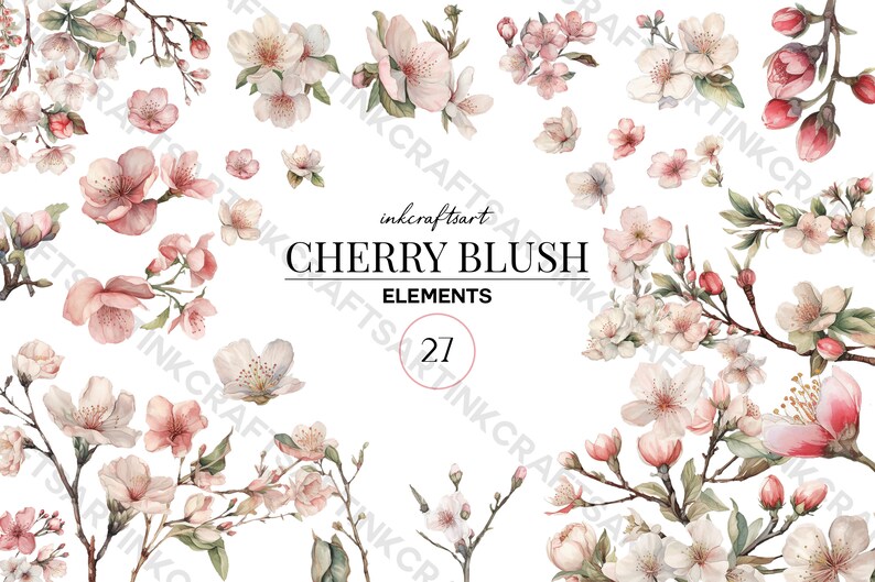 Watercolor Cherry Blossoms Flower Clipart Cherry Blossoms Clipart ...