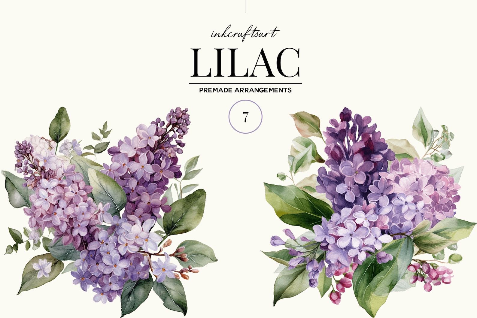 Watercolor Lilac Clipart Watercolor Lilac Bouquets Lilac Arrangements ...