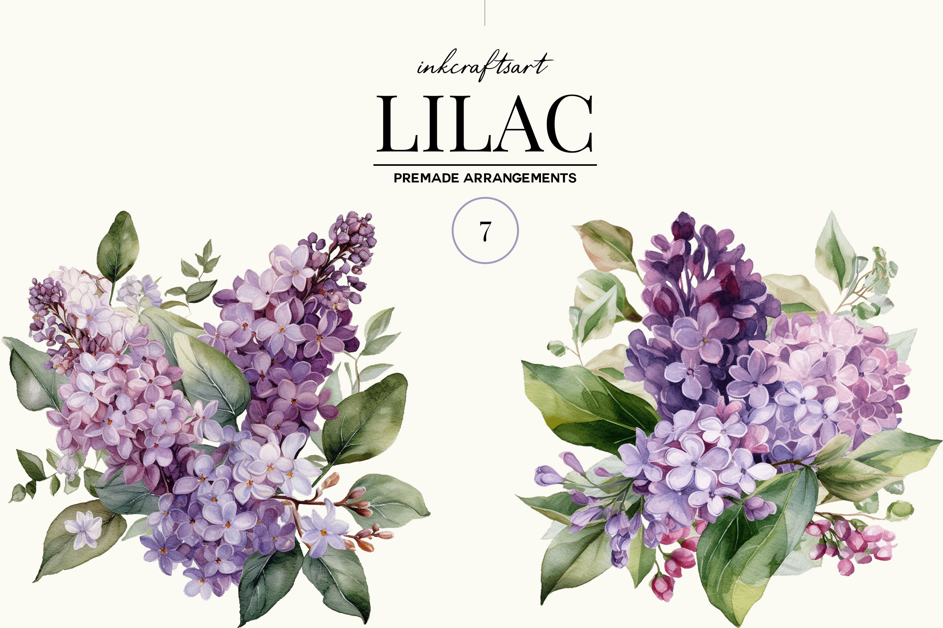 Watercolor Lilac Clipart Watercolor Lilac Bouquets Lilac Arrangements ...