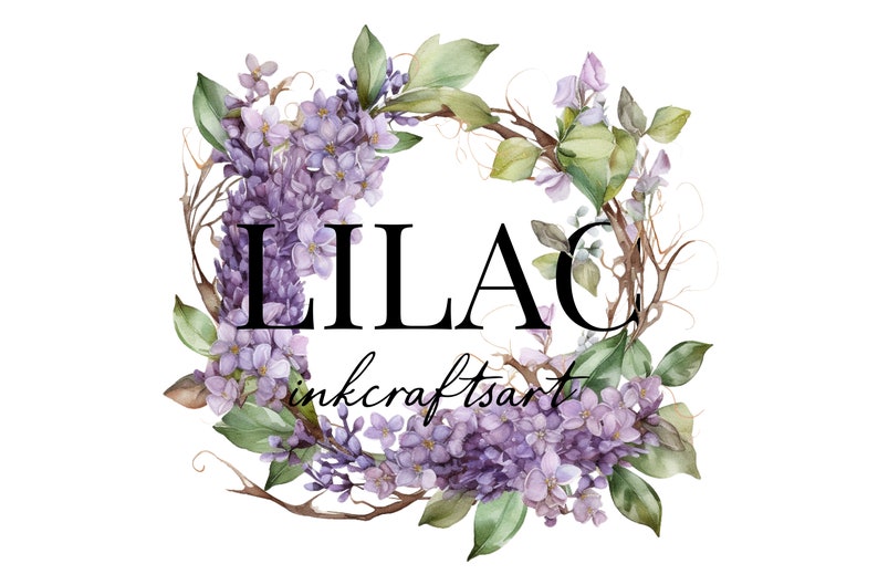 Watercolor Lilac Clipart Watercolor Lilac Bouquets Lilac Arrangements ...