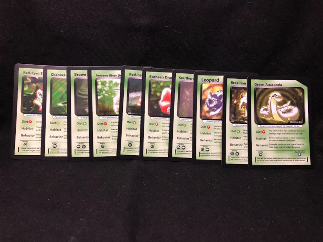 Rainforest Animal DEX Cards - Pack of 10 - Etsy