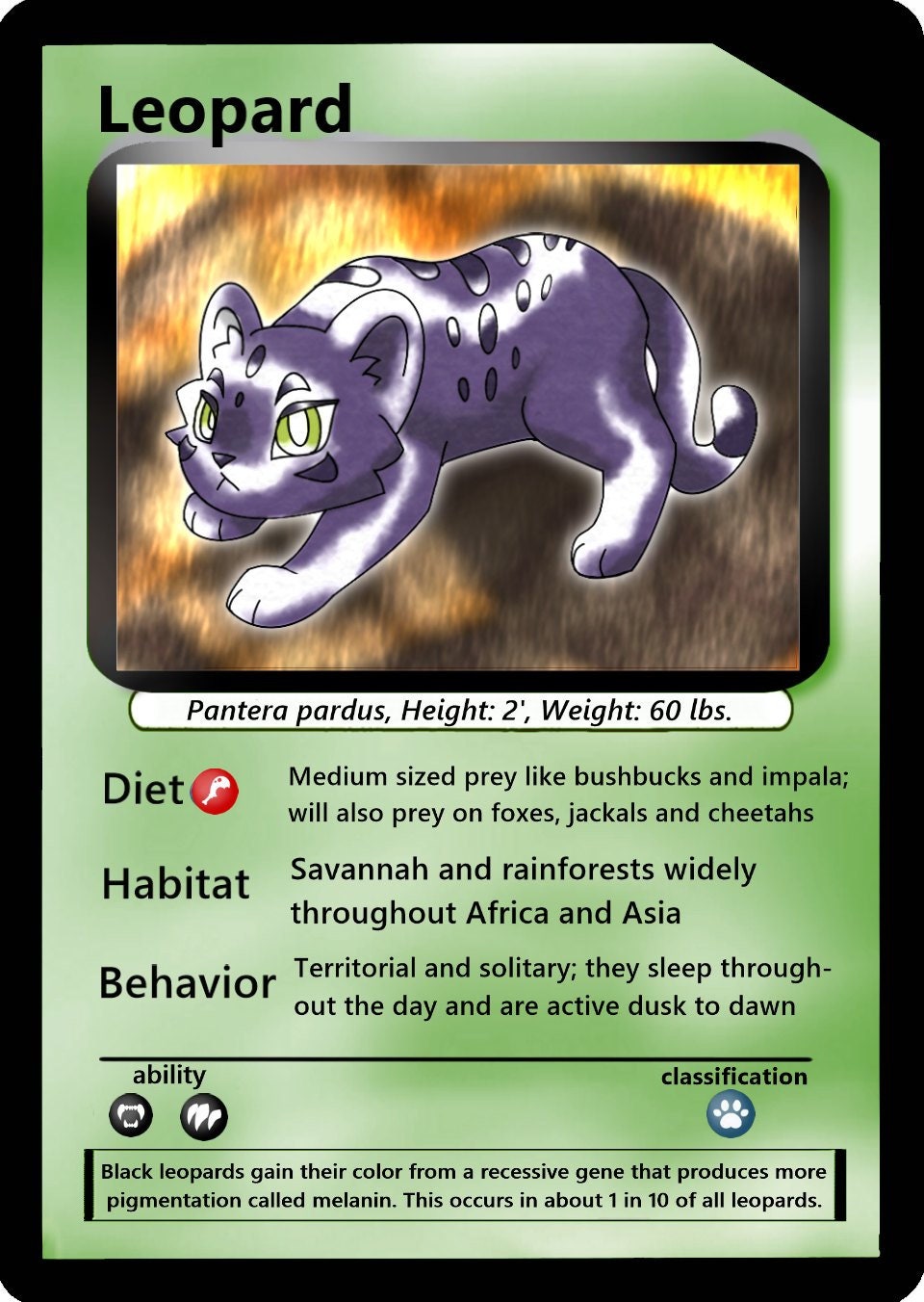 Rainforest Animal DEX Cards - Pack of 10 - Etsy