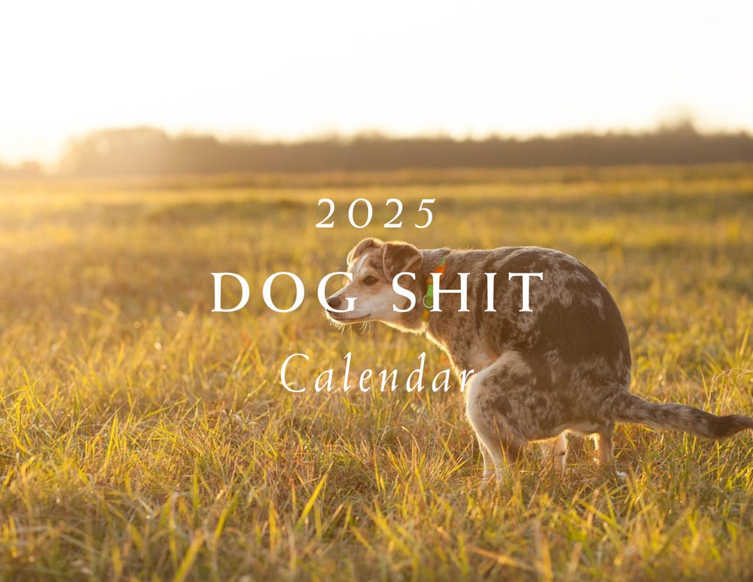 Dog Shit Calendar 2025: 12 Months of Hilarious Dogs in Nature - Etsy UK
