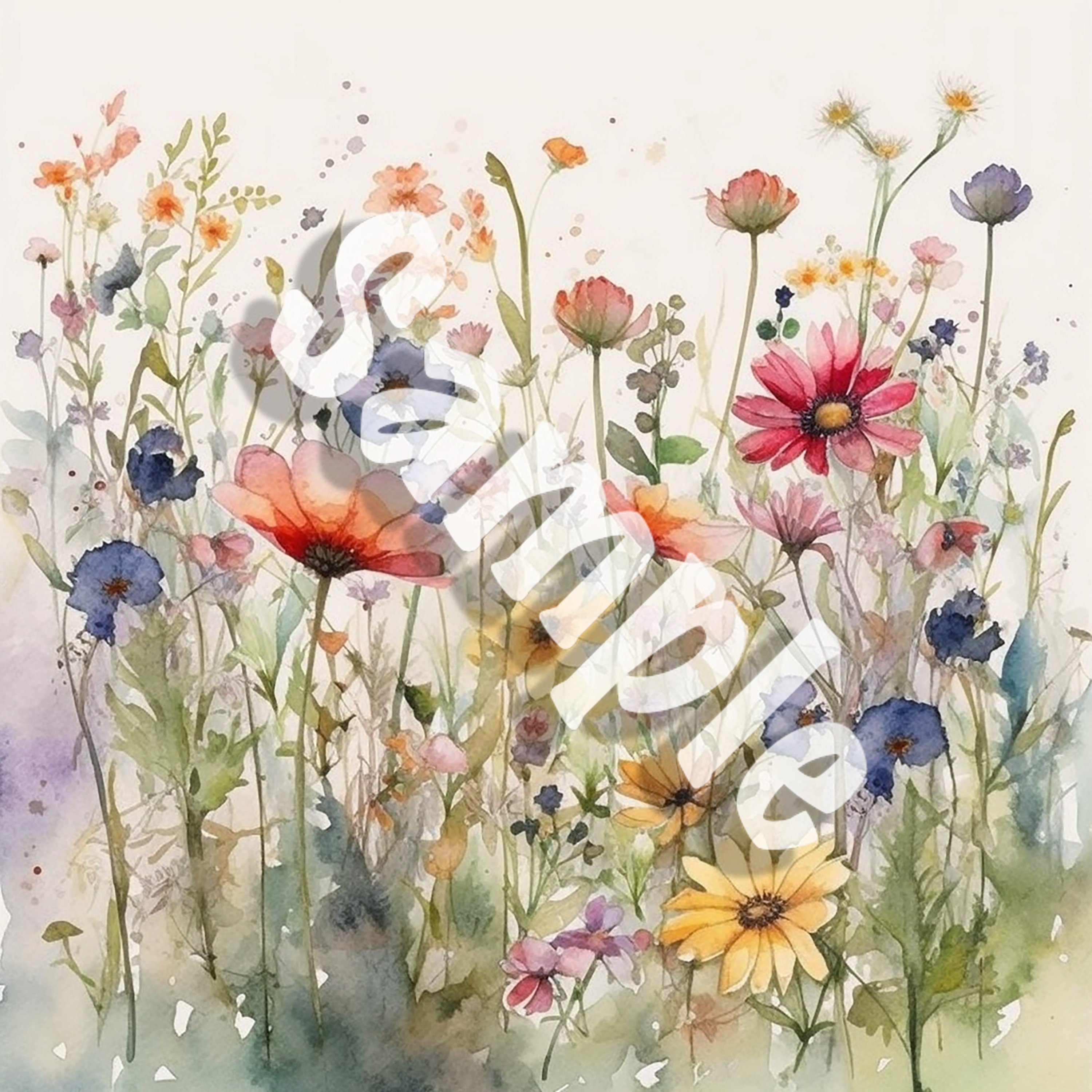 Flower Meadow Clipart 20 High Quality Pngs Commercial Use Digital ...