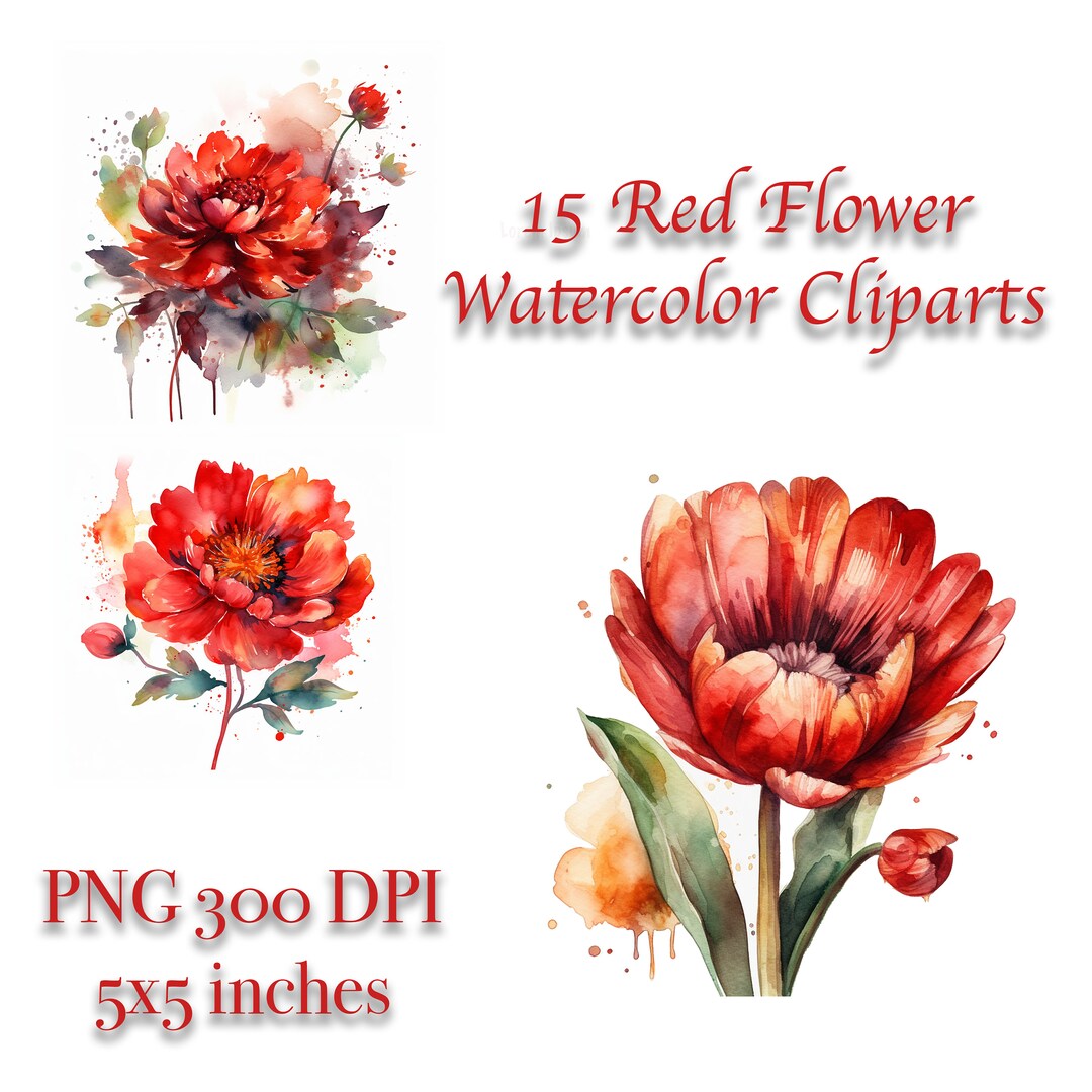 Red Watercolor Floral Clipart, 15 Pngs, Instant Download, - Etsy
