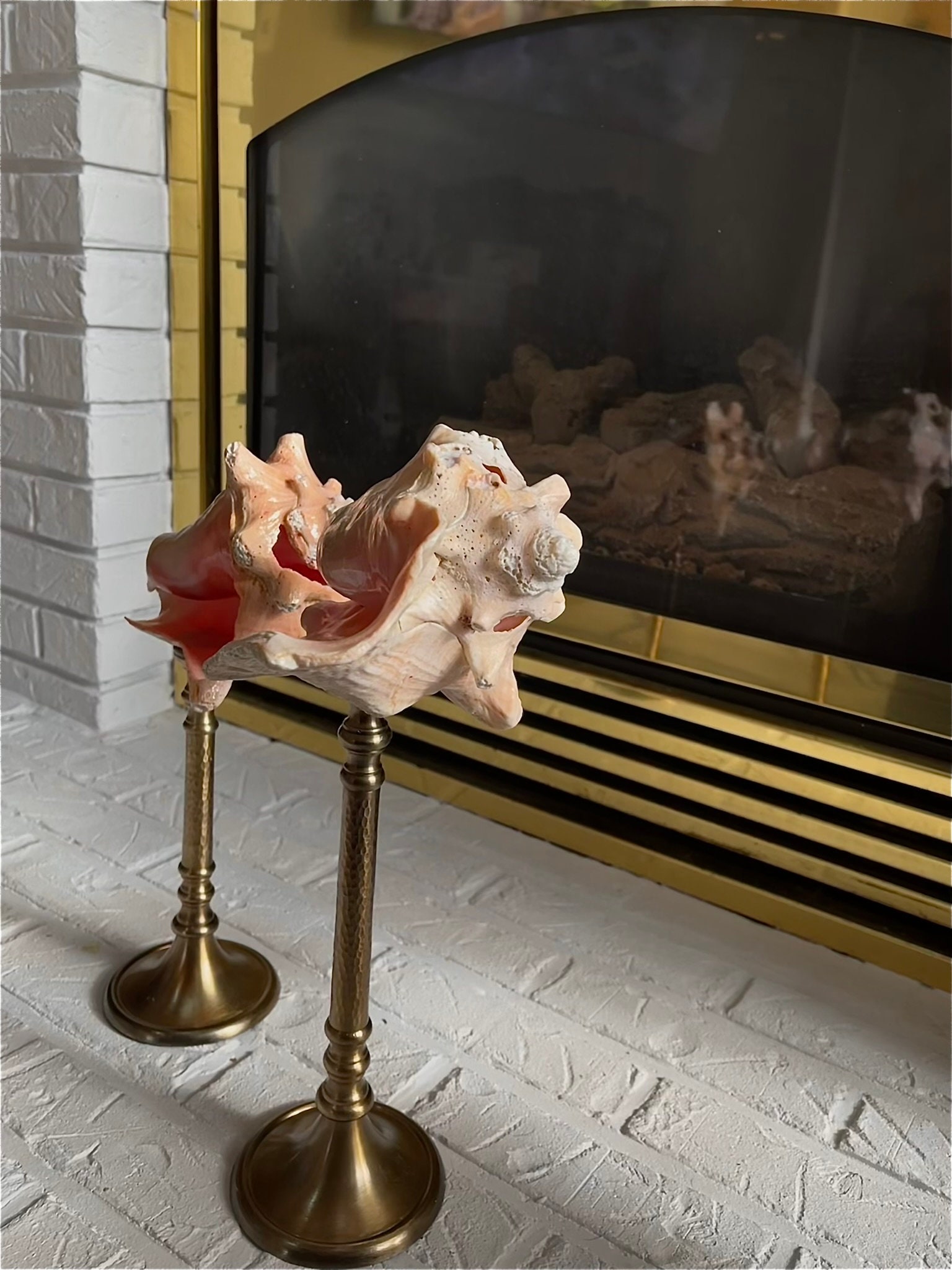 Caribbean Conch Shell Sculpture - Etsy