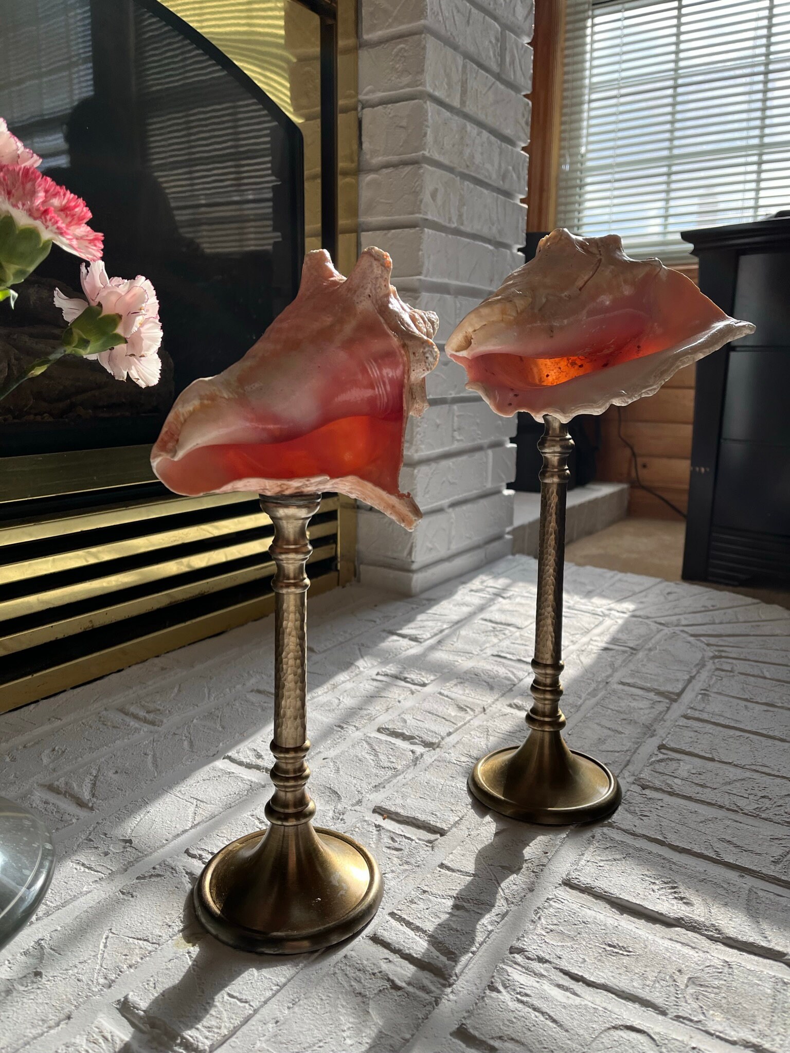 Caribbean Conch Shell Sculpture - Etsy