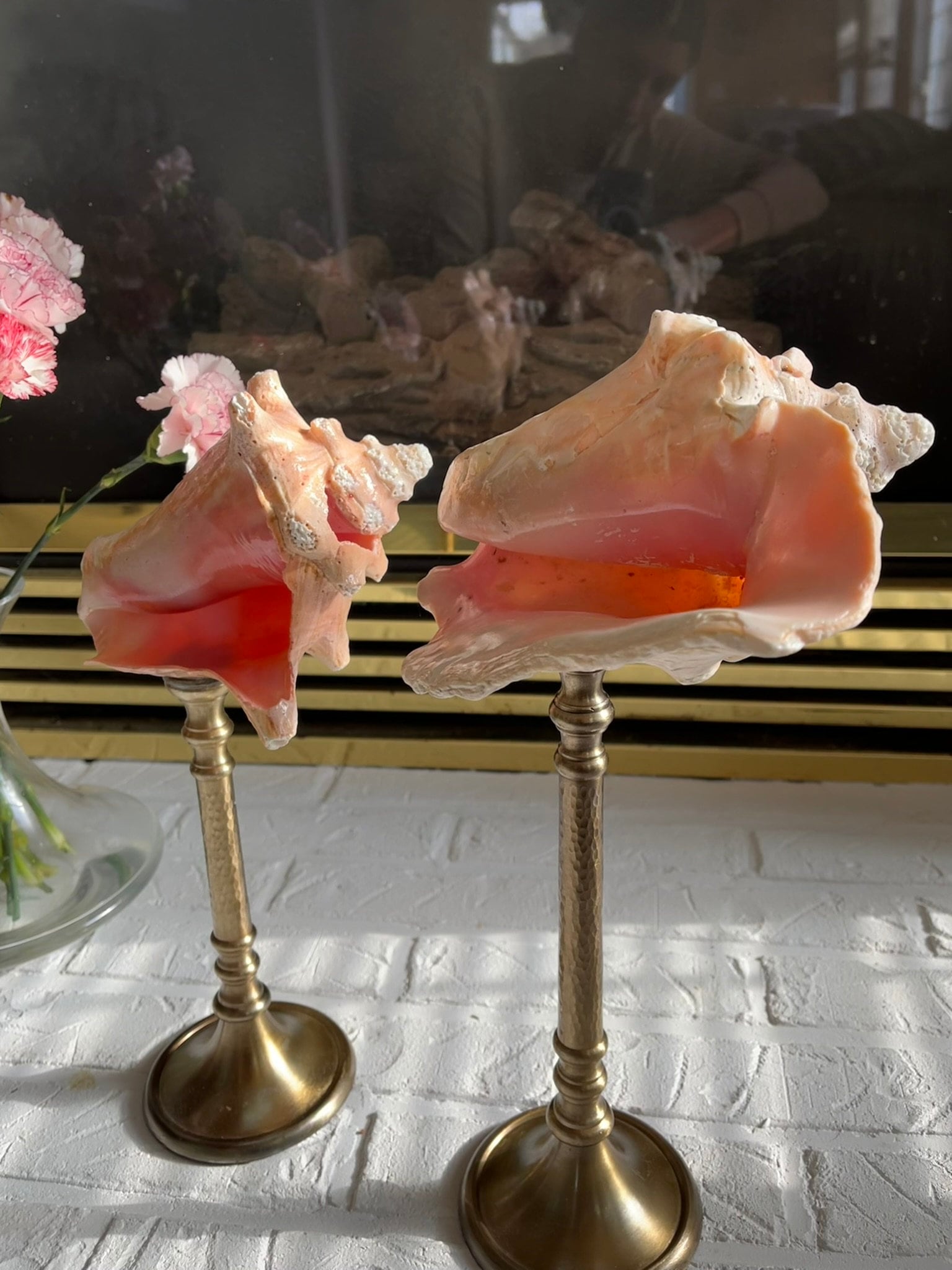 Caribbean Conch Shell Sculpture - Etsy