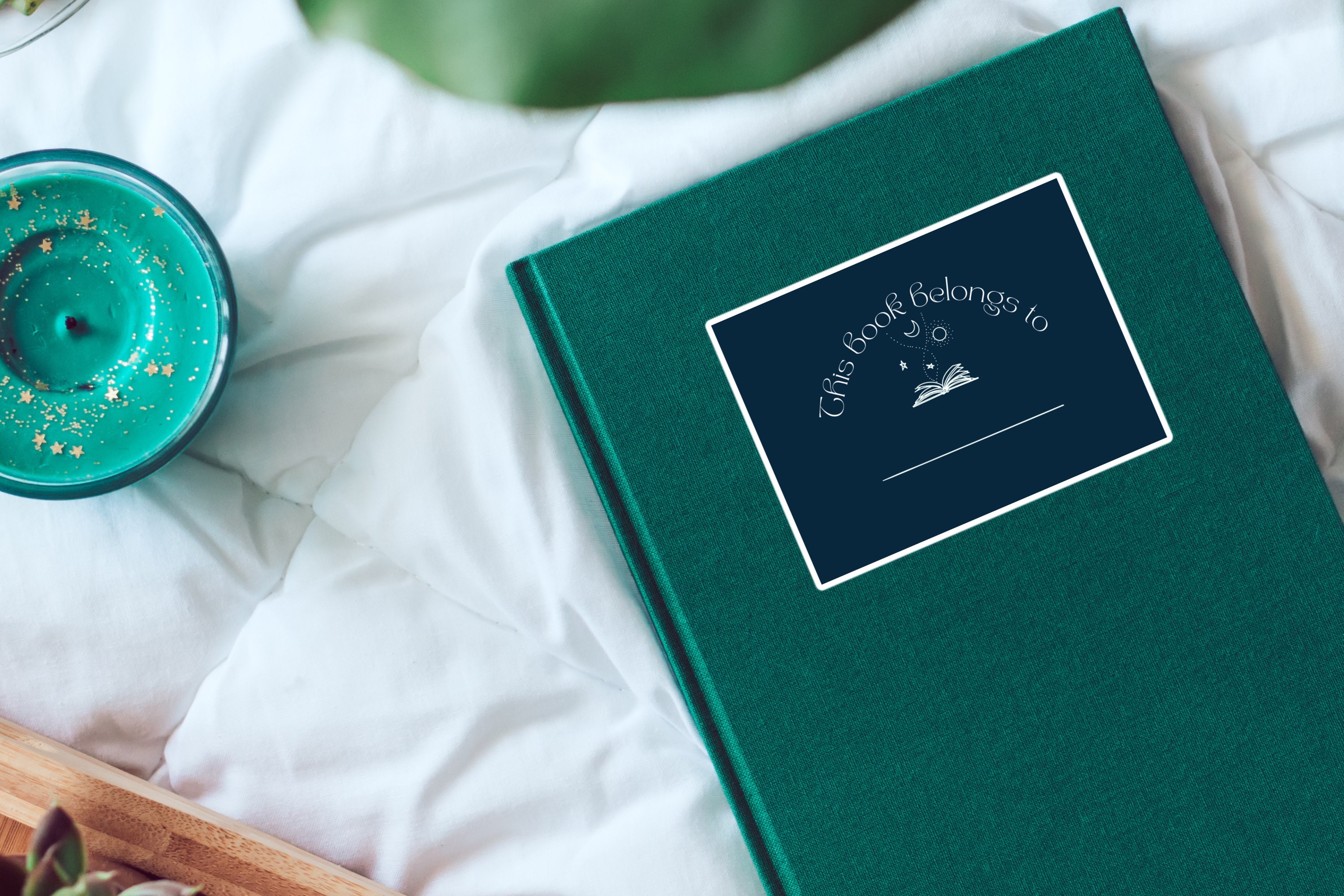 This Book Belongs to Sticker, Book Label, Library Book Nook, Book Merch ...