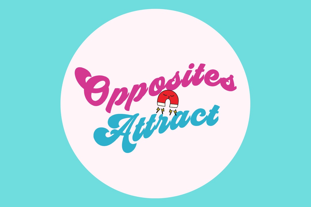 Opposites Attract Book Stickers, Romance Trope, Spicy Books, Bookish ...