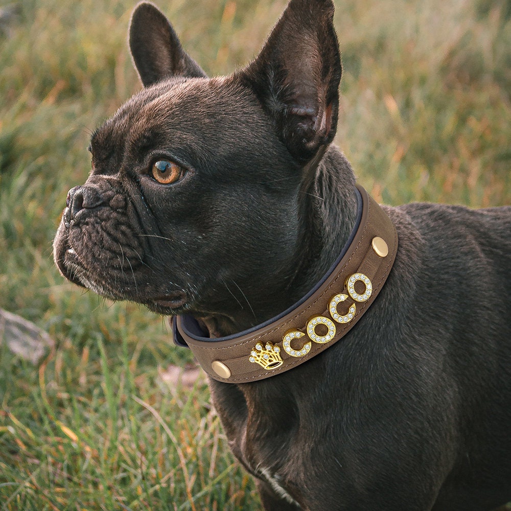 Custom Leather Dog Collar Personalized Dogs Name Collars Bling - Etsy ...
