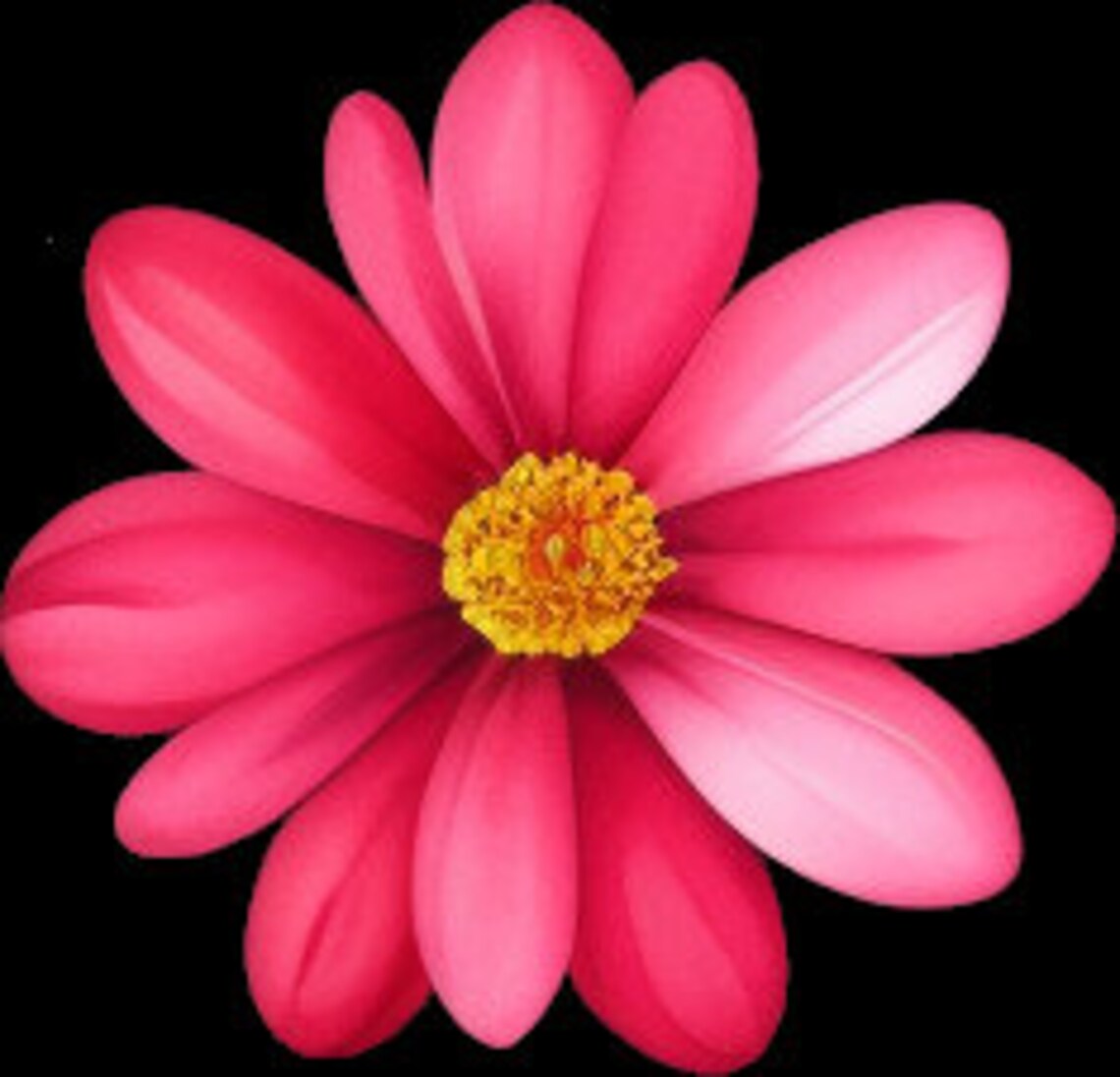 12 Botanical Flowers Clipart PNG, Watercolor Flowers Clipart, Botanical ...