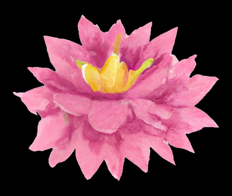 12 Botanical Flowers Clipart PNG, Watercolor Flowers Clipart, Botanical ...