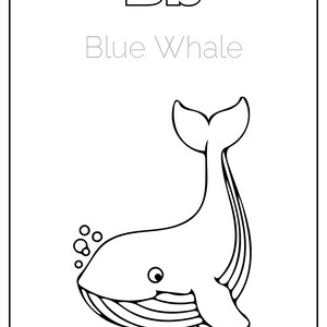 Ocean Animals Alphabet Coloring Book for Kids | A-Z Sea Creatures ...
