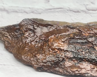 Fall Tree Branch Painted Rock Kindness Rock Paper Weight - Etsy