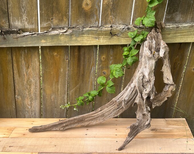Large Driftwood Garden & Home Decor - Natural Wall Art - Terrarium ...