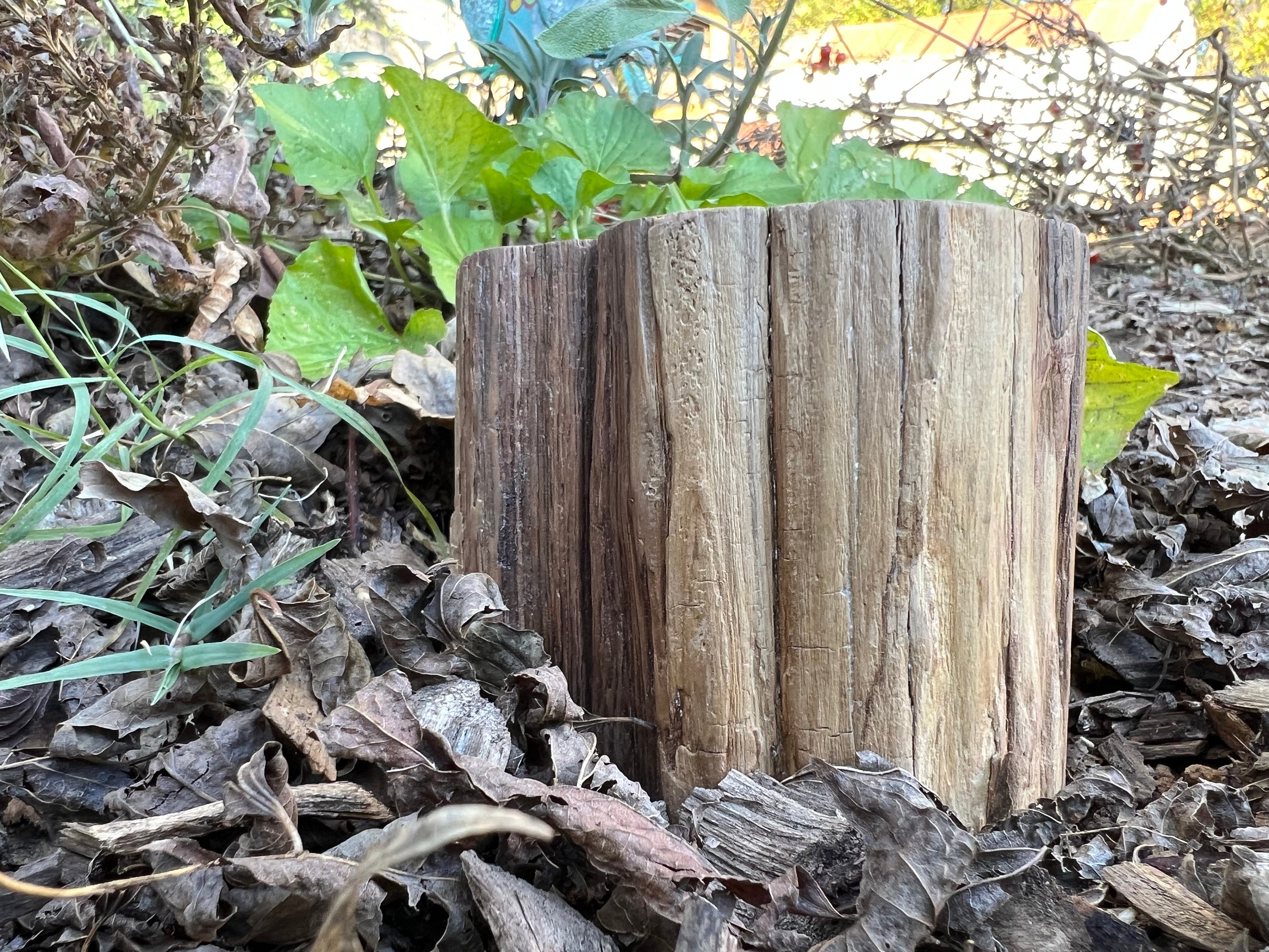 Custom Cedar Love Stump - Hand-carved Heart Engraved “you + Me” Cedar ...