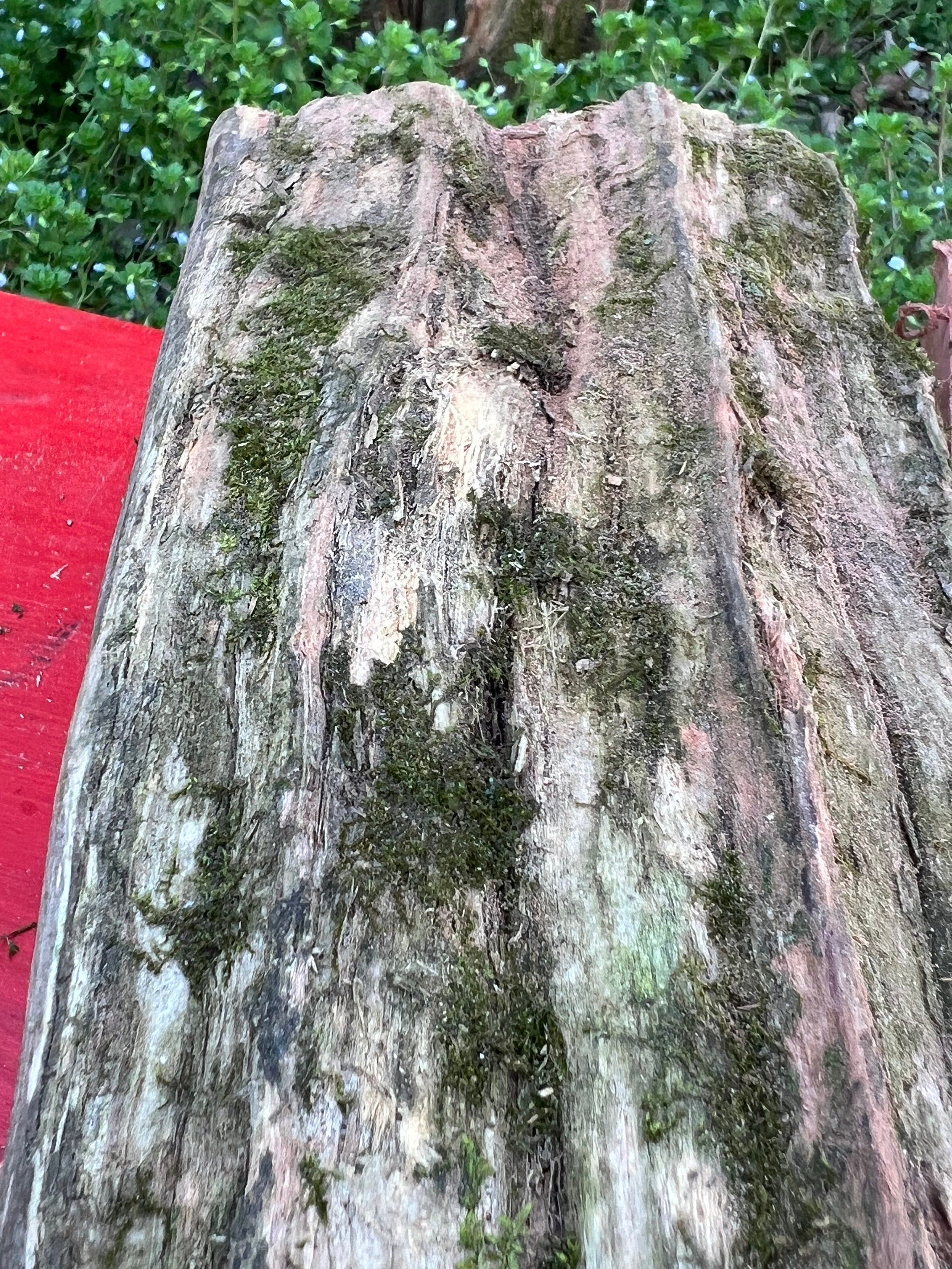 Red Cedar Bark Planks - Aromatic Cedar Decor - Cedar Bark Boards Craft ...