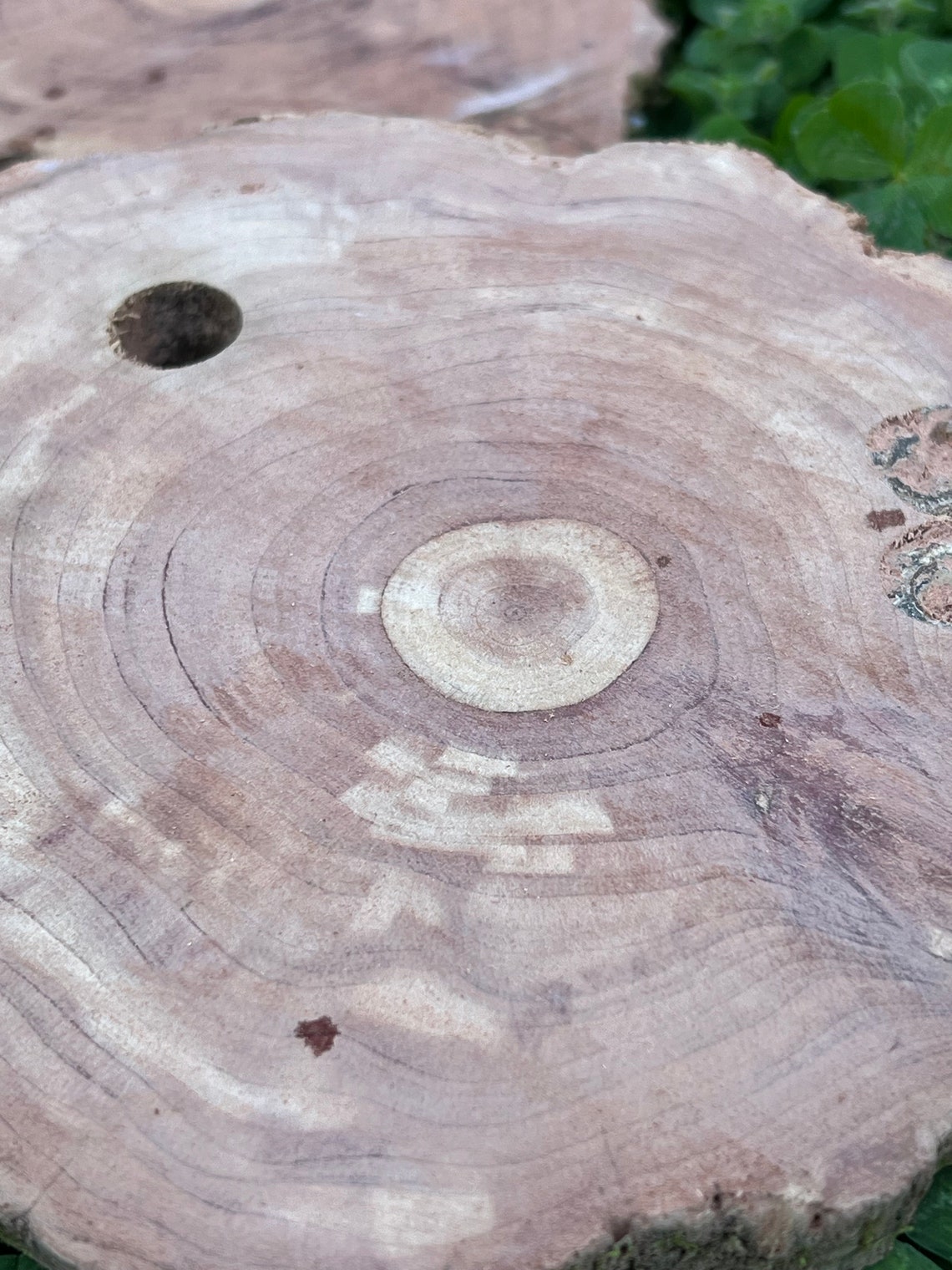 Large Red Cedar Slices - Aromatic Cedar Cookies - Cedar Rounds - Etsy
