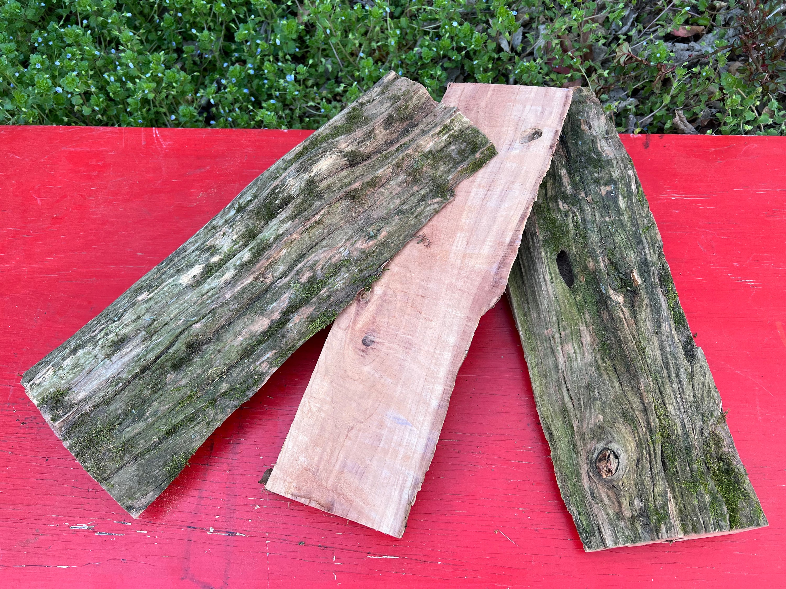 Red Cedar Bark Planks - Aromatic Cedar Decor - Cedar Bark Boards Craft ...