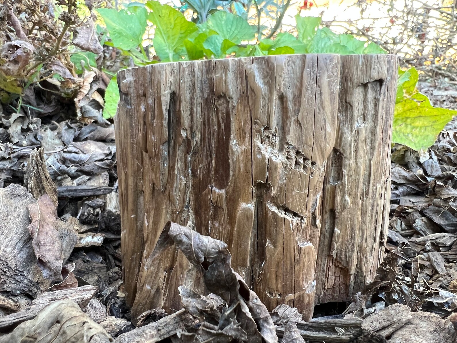 Custom Cedar Love Stump - Hand-carved Heart Engraved “you + Me” Cedar ...