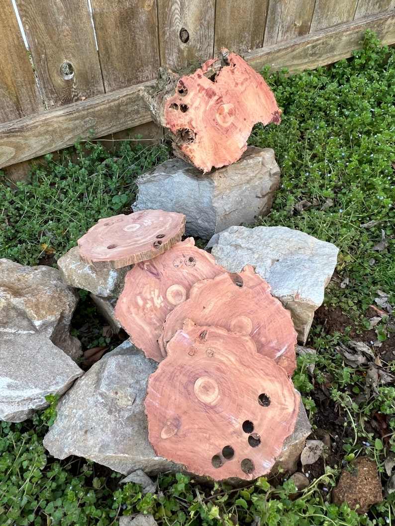 Large Red Cedar Slices - Aromatic Cedar Cookies - Cedar Rounds - Etsy