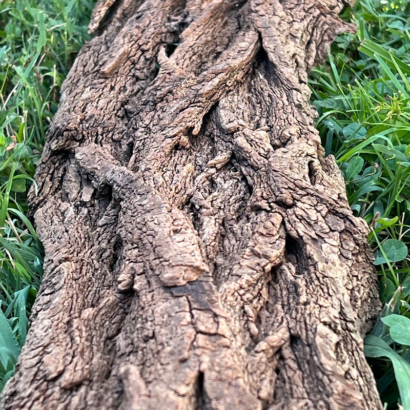 Oak Bark for Carving - Etsy