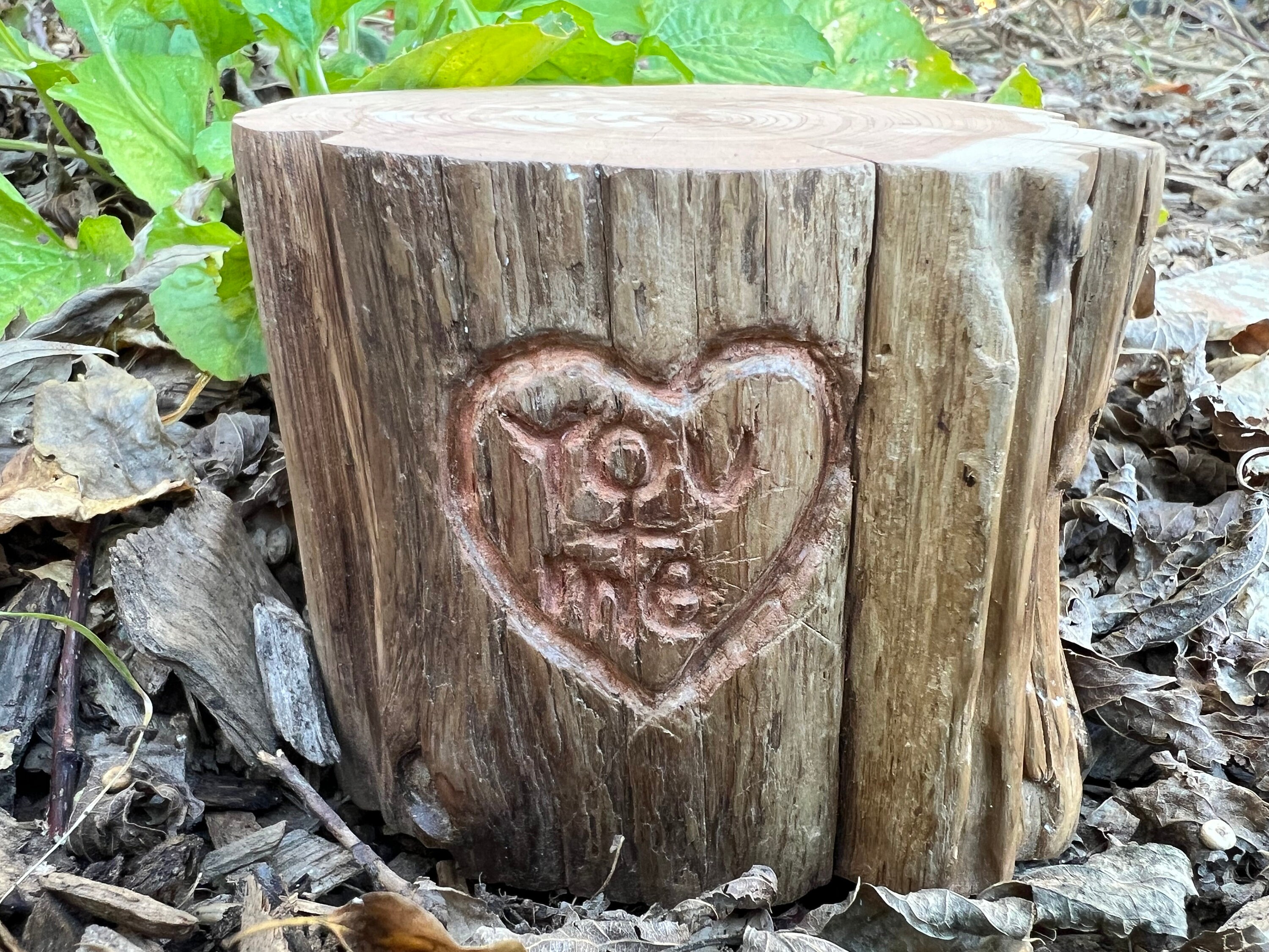 Custom Cedar Love Stump - Hand-carved Heart Engraved “you + Me” Cedar ...