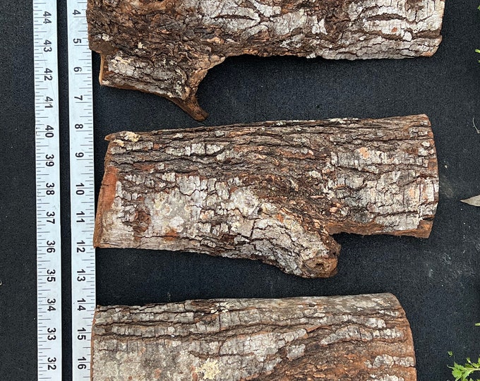 Tree Bark - Oak Natural Tree Bark Panels - Real Tree Bark - Real Bark ...
