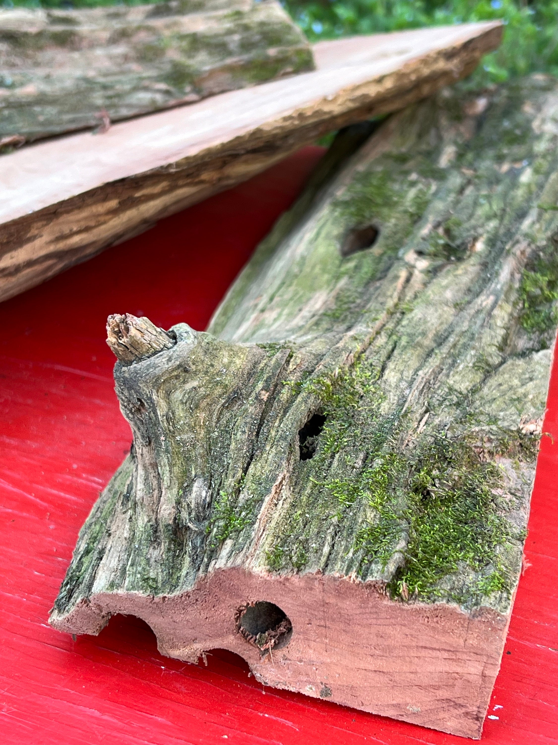 Red Cedar Bark Planks - Aromatic Cedar Decor - Cedar Bark Boards Craft ...