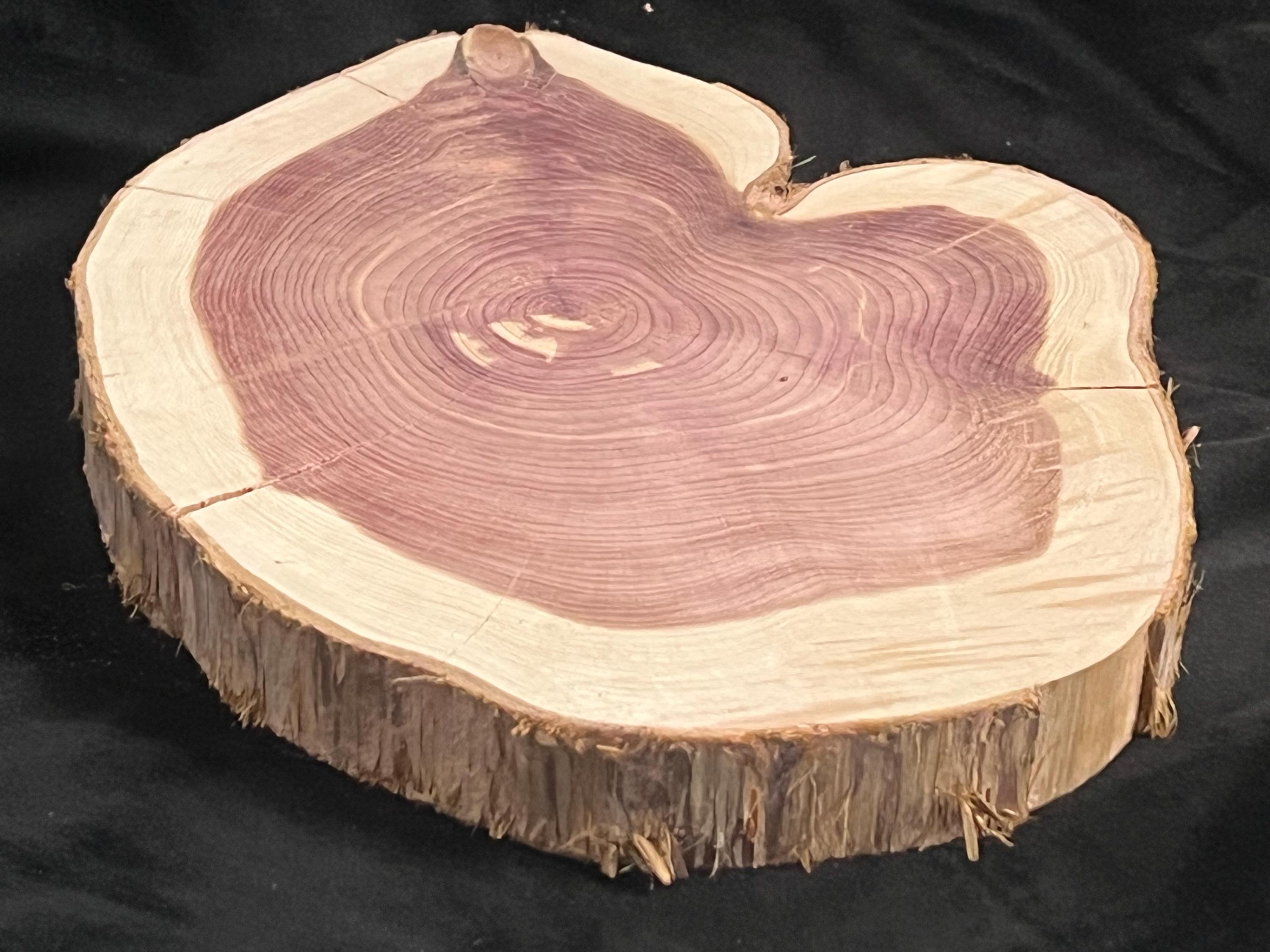 Large Unique Cedar Rounds 9”-10” - Eastern Red Cedar Cookies - Etsy