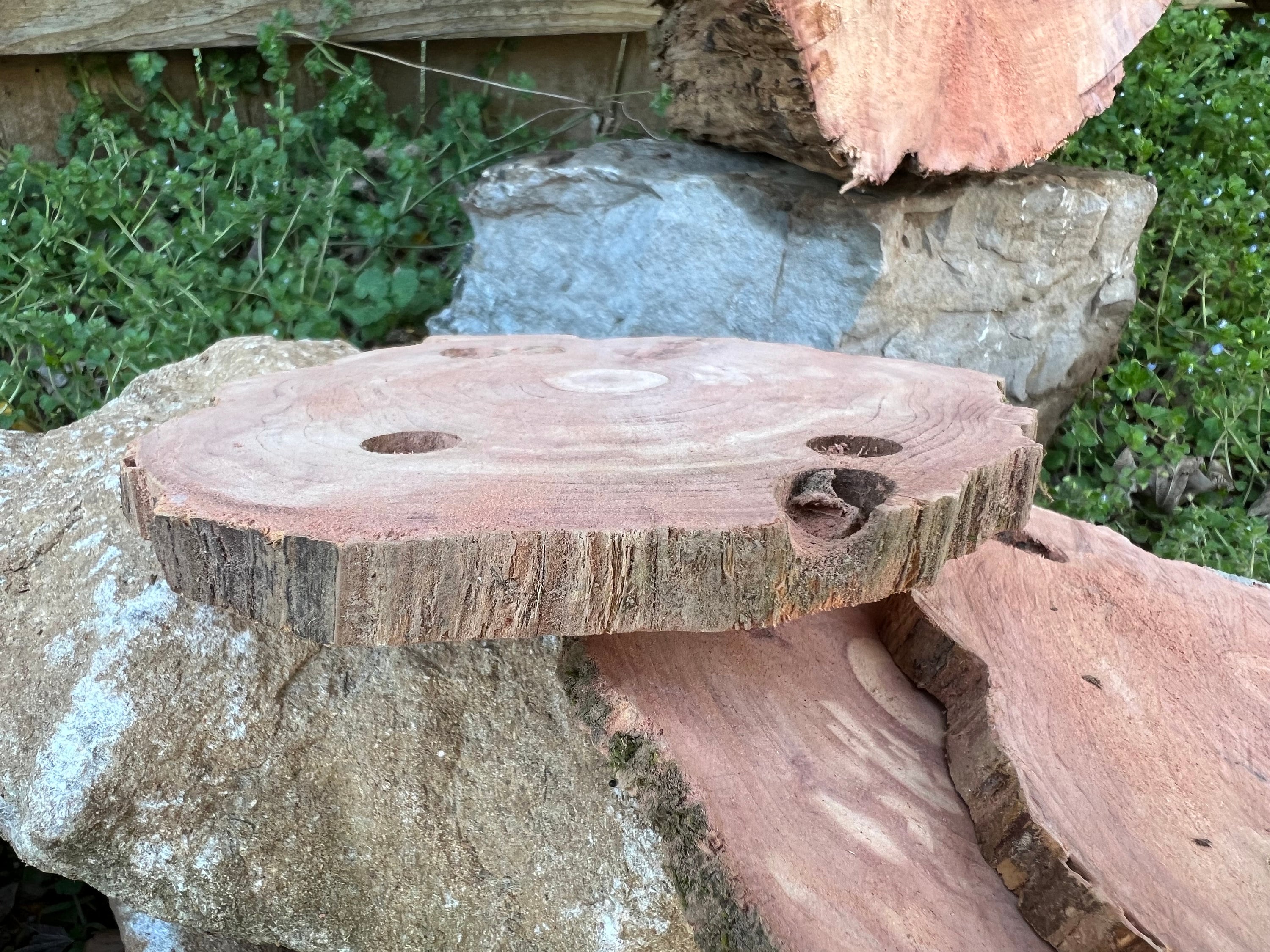 Large Red Cedar Slices - Aromatic Cedar Cookies - Cedar Rounds - Etsy