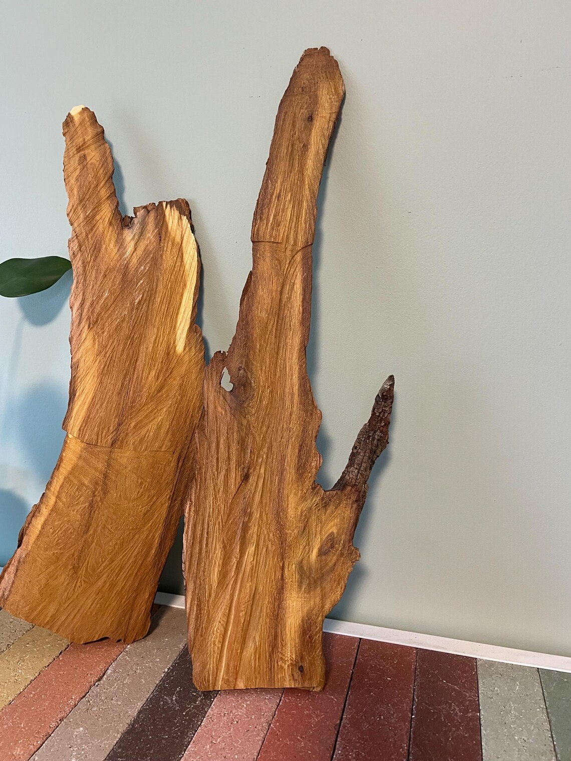 Plant Climbing Stakes - Osage Orange Natural Wood Garden Decor ...