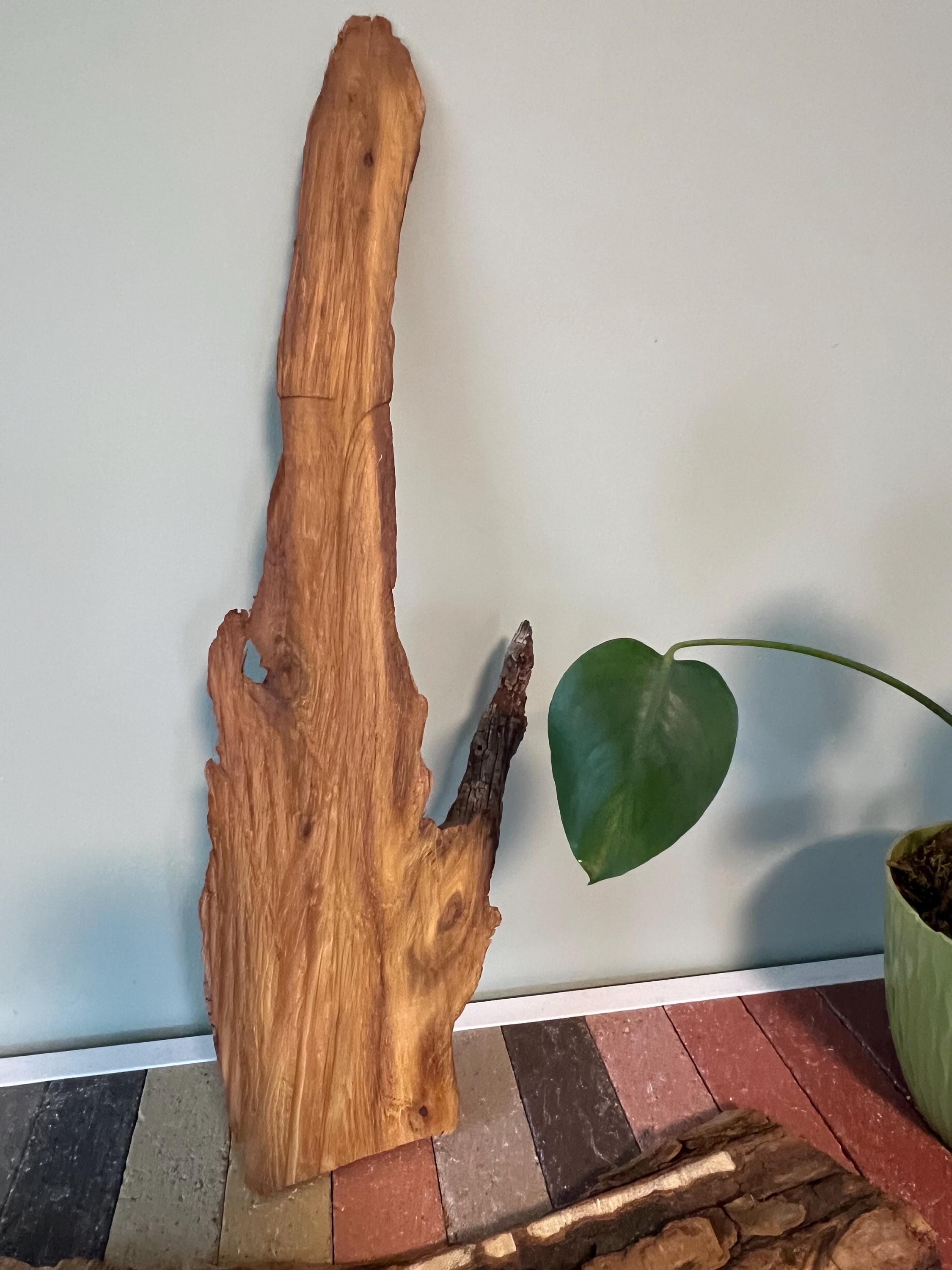 Plant Climbing Stakes - Osage Orange Natural Wood Garden Decor ...