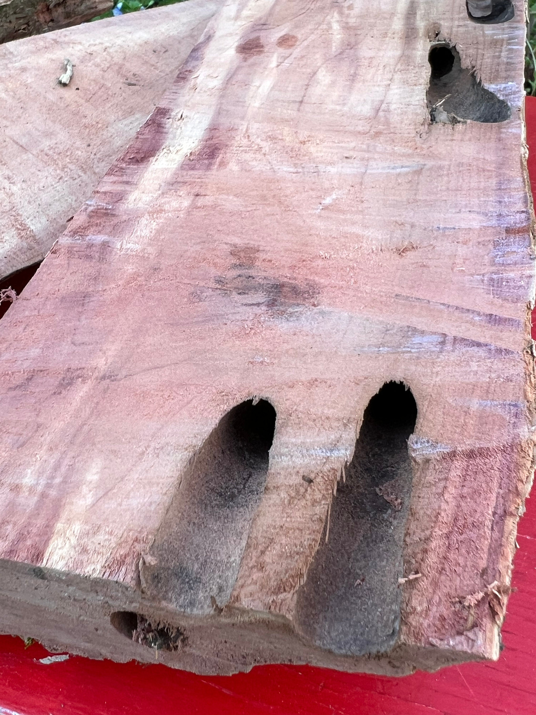 Red Cedar Bark Planks - Aromatic Cedar Decor - Cedar Bark Boards Craft ...